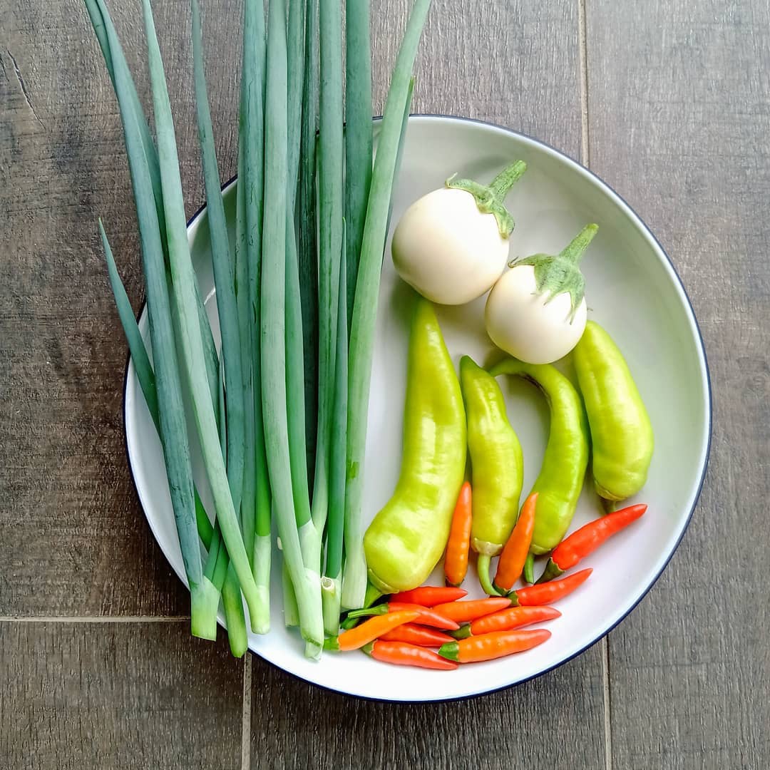 Small Scale Gardening | The Home Garden